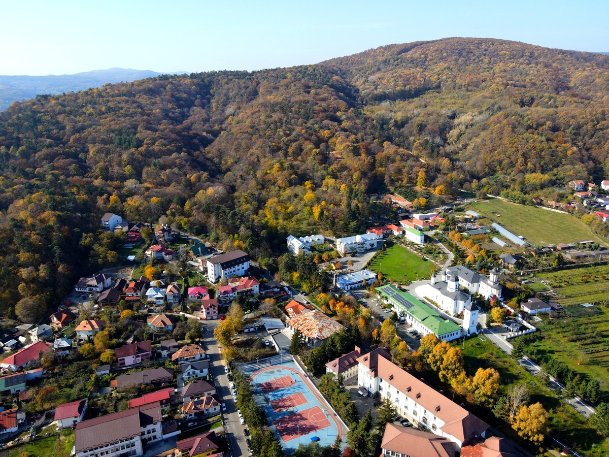 Proiectul de amenajare a unei păduri-parc pe Dealul Capela a primit ...